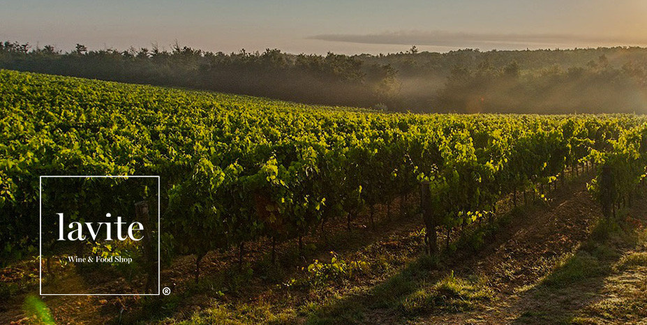Tvorba webových stránek, e-shopu na míru